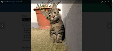 12 Best React Photo Gallery Libraries To Check Out The Ultimate List Hubpages