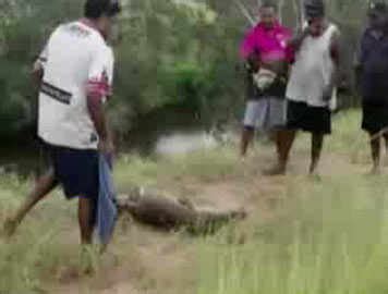 Crocodile Bites Off Woman S Hand In Australia News Times Of India Videos