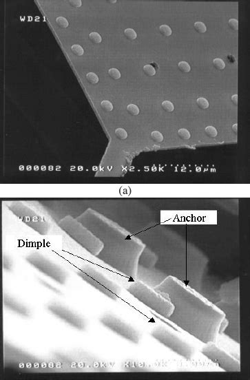 A Dimple Array On The Underside Of A Switch Plate B Shows The Download Scientific Diagram
