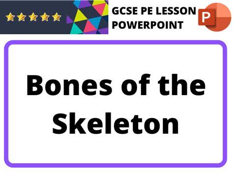 Gcse Pe Bones Of The Body Powerpoint Teaching Resources