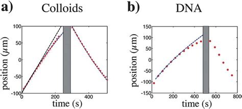 Time Evolution Of The Particles Population For A Fluorescent Colloids Download Scientific
