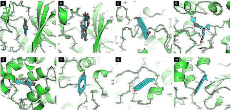 Binding Pose Of Selected Phytochemical Compounds On The Target Viewed