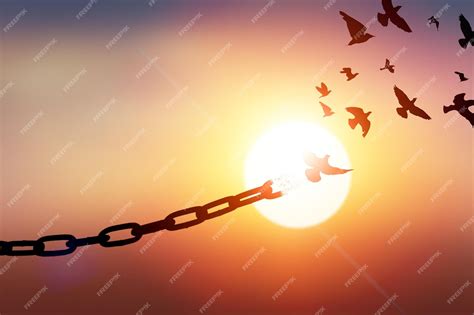 Premium Photo Concept Of Freedom With Chains Breaking And Free Birds