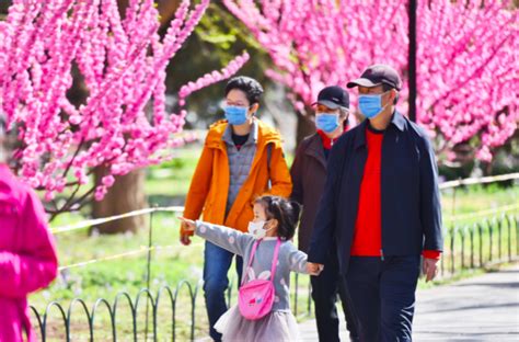 北京天坛公园花团锦簇，引游客游园赏春景 京报网