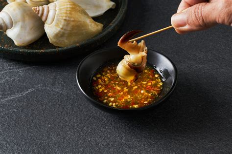 Gong Gong Sea Conch Hoi Chuck Teen Talay Luek หอยชักตีนทะเลลึก