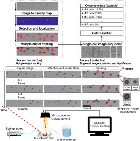 Machine‐learning‐assisted Intelligent Imaging Flow Cytometry A Review