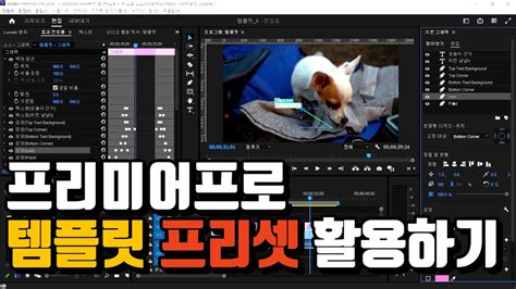 프리미어 프로 27강 기본 템플릿 프리셋 활용하기adobe Stock Youtube