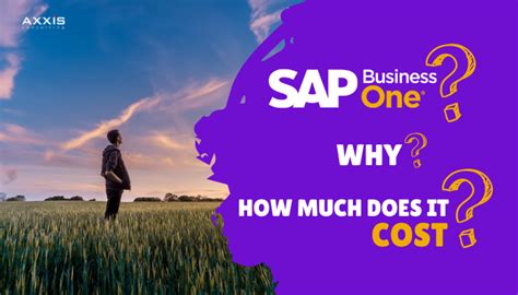 Sap Business One Overview Pricing Axxis Consulting