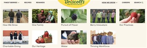 Customize Drop Down Menu To Include Images Customize With Code Squarespace Forum