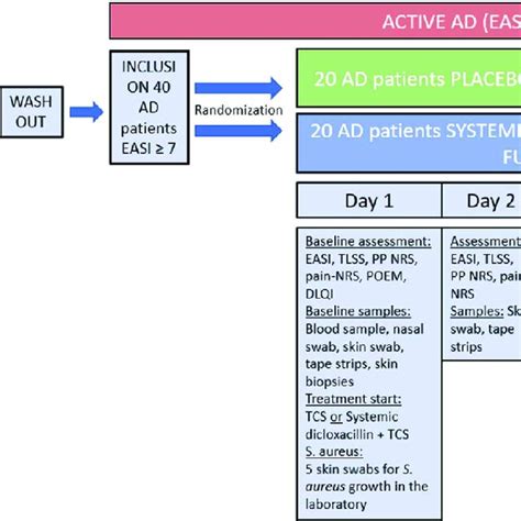 Trial Overview Of Phase Iii During Active Atopic Dermatitis Ad And