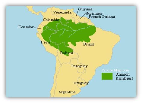 The Rainforest Map Of The Rainforest