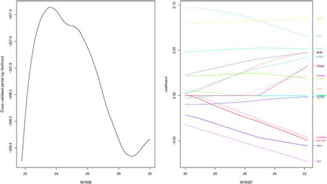 selecting the optimal adjustment parameter by cross validation left download scientific