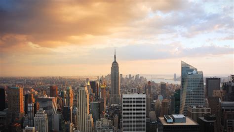 British British University • ბრიტანული უნივერსიტეტი