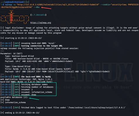 Blind Sql Injection An Experts Guide To Detect And Exploit