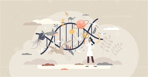 Genomics As Structure Function And Evolution Genomes Tiny Person Concept VectorMine