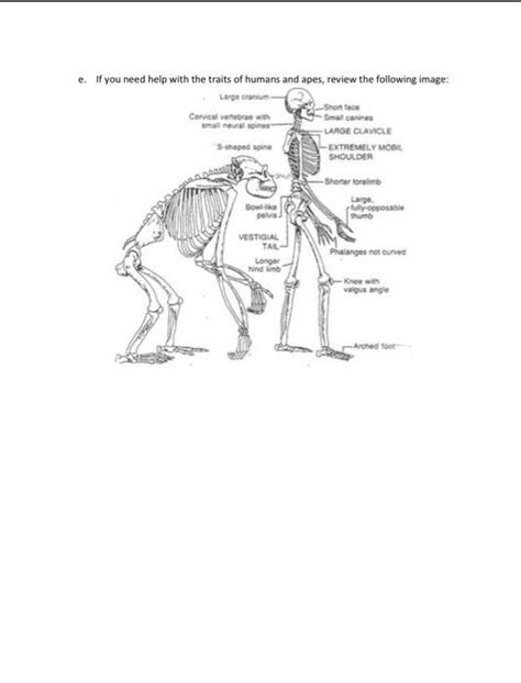 Ant 2000 Introductory Anthropology Activity Why