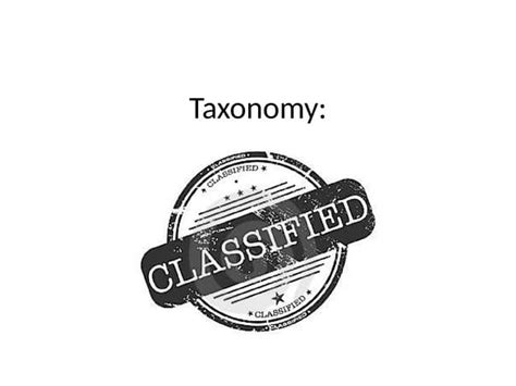 Taxonomy Classification Ppt1 Taxonomia E Classificação Ppt