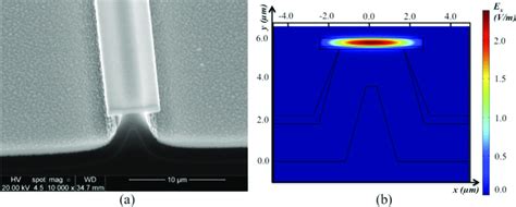 A Sem Micrograph Of A 5 µm Wide Pedestal Waveguide B Magnitude Of Download Scientific