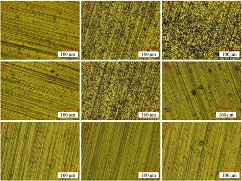 Surface Morphology Of Each Sample Download Scientific Diagram