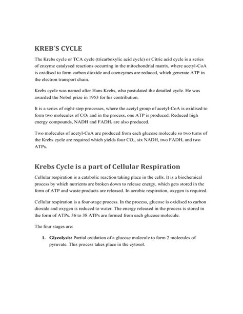 Krebs Cycle Steps Products And Significance Biology