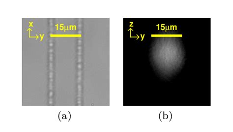 Type Ii Waveguides With Different Structures A C Cross Section Under Download Scientific