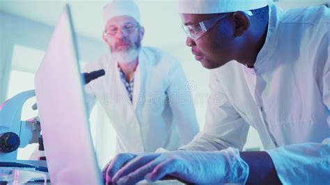 Medical Research Team Analyzing Data On Laptop And Using Microscope Stock Footage Video Of