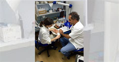 En Campaña Scioli Pone A Punto Su Brazo Para La Pelea Electoral