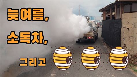 소독차와 강아지 벌집이 있는 늦여름의 풍경 Youtube