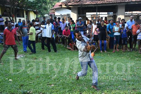 ‘soorya Rashmi New Year Festival Caption Story Daily Mirror