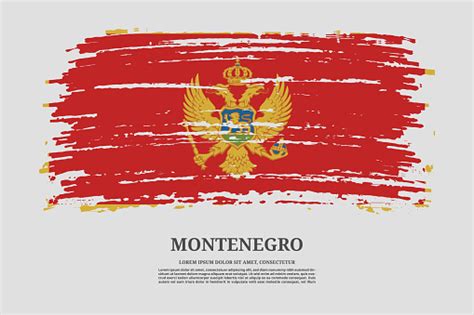 브러시 스트로크 효과와 정보 텍스트 포스터 벡터와 몬테네그로 플래그 0명에 대한 스톡 벡터 아트 및 기타 이미지 0명 공휴일 국가 지리적 지역 Istock