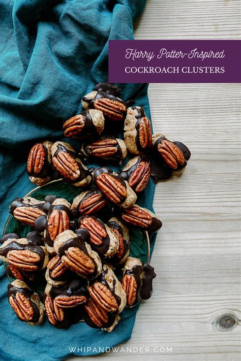 Cockroach Clusters Harry Potter Inspired Whip And Wander