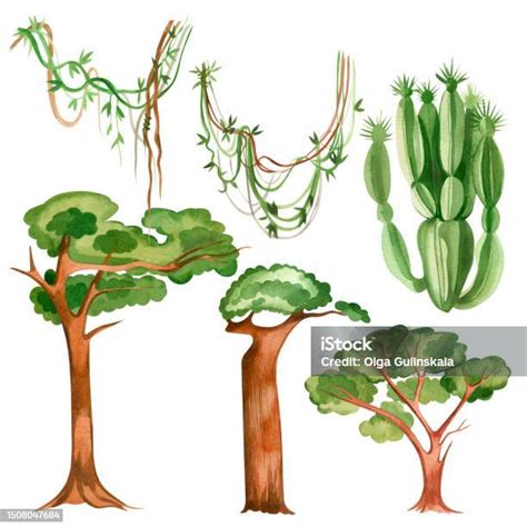 하얀 배경에 나무 덩굴 선인장이 있다 모든 요소는 흰색 배경에 수채화로 손으로 그려집니다 섬유 종이 벽지에 인쇄 어린이 방 책 꾸미기 0명에 대한 스톡 벡터 아트 및 기타