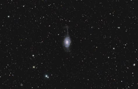 Umbrella Galaxy Ngc4651 Astroveto
