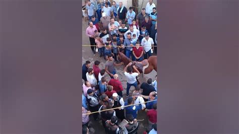 احمد النعماني Youtube