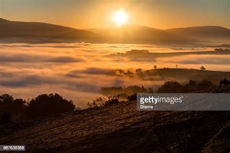 580 Mattino Stock Photos, High-Res Pictures, and Images - Getty Images