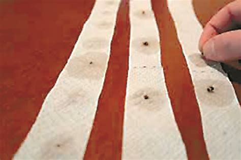 ПОЛЕЗЕН ОПИТ Размяна на семена Български Фермер