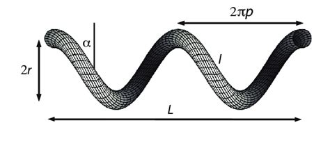 Single Helix With Radius R Pitch 2πp Strand Contour Length L And