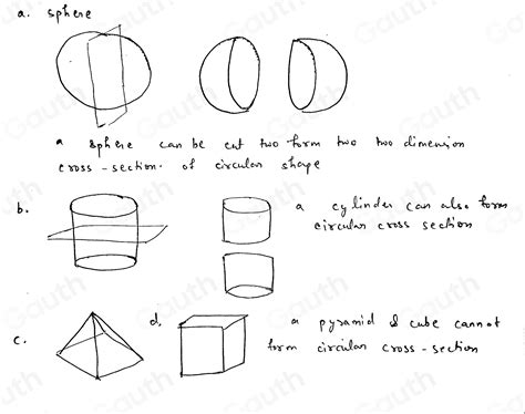 Solved A Solid Is Cut By A Vertical Plane Forming A Two Dimensional Cross Section In The Shape