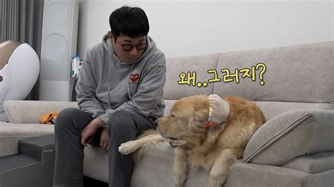 아무말 없이 화난것처럼 강아지를 째려본다면 YouTube