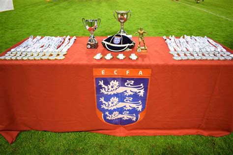 Amy Newbold Posted On Linkedin