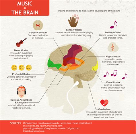 Music And The Brain Many Benefits To Kindermusik