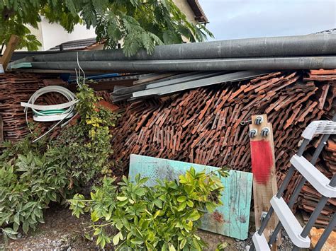 Rabljeni Crijep Toza Markovic Kikinda Model 333