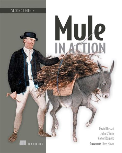 Enterprise Integration Solution Approach Mule
