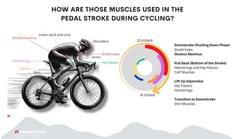 Road Bike Diagram