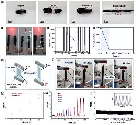 Afm High Antioxidant And Self Healing Mxene Based Hydrogel Imedia