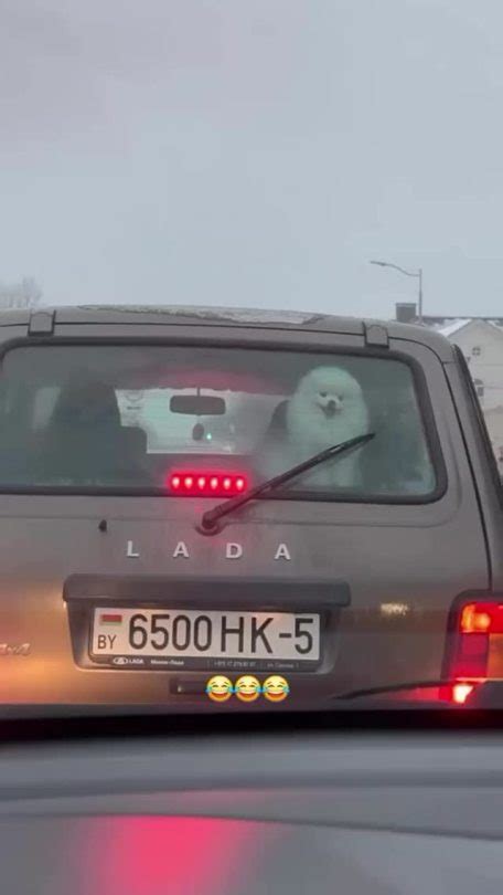 His Favourite Toy Tumbex