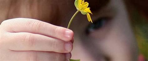 Signs Of Speech Delay Special Education