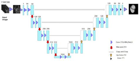 Classic U Network Structure For The Purpose Of Cardiac Mri Image Download Scientific Diagram