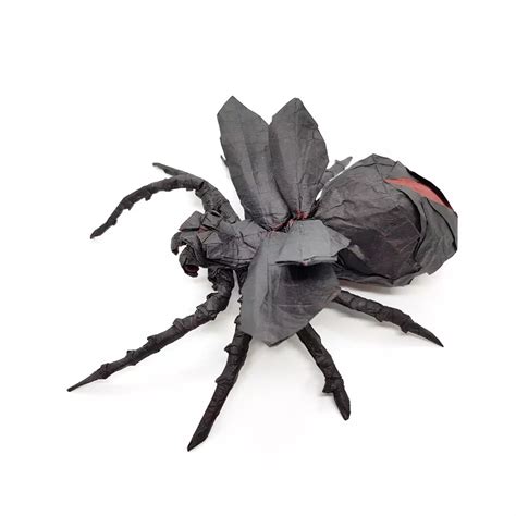 Artworks Latrodectus Alata