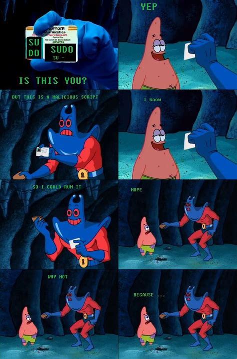 Sudo Confuses Me R Programmerhumor